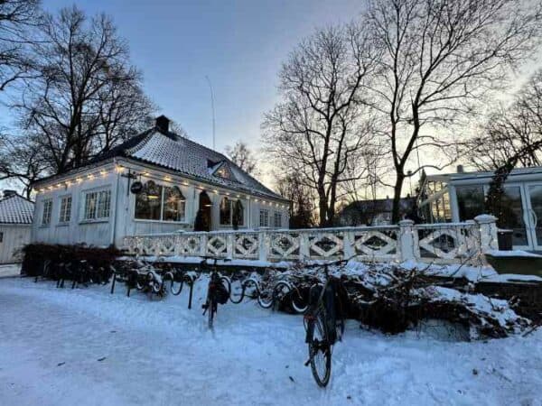 Norway in December: Your Ultimate Winter Travel Guide From A Native ...