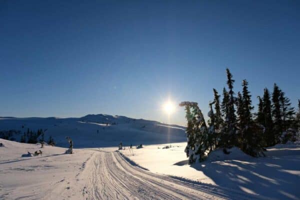 Norway in December: Your Ultimate Winter Travel Guide From A Native ...