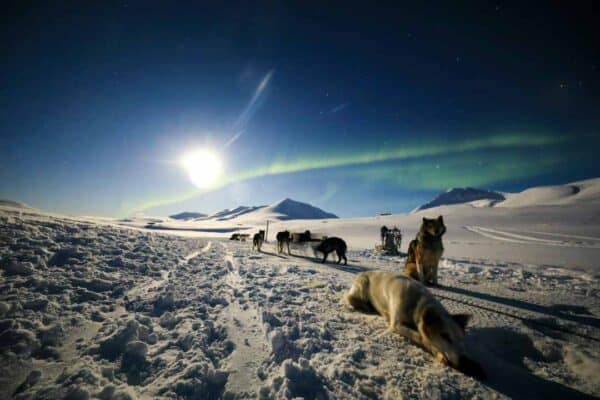 Norway in December: Your Ultimate Winter Travel Guide From A Native ...